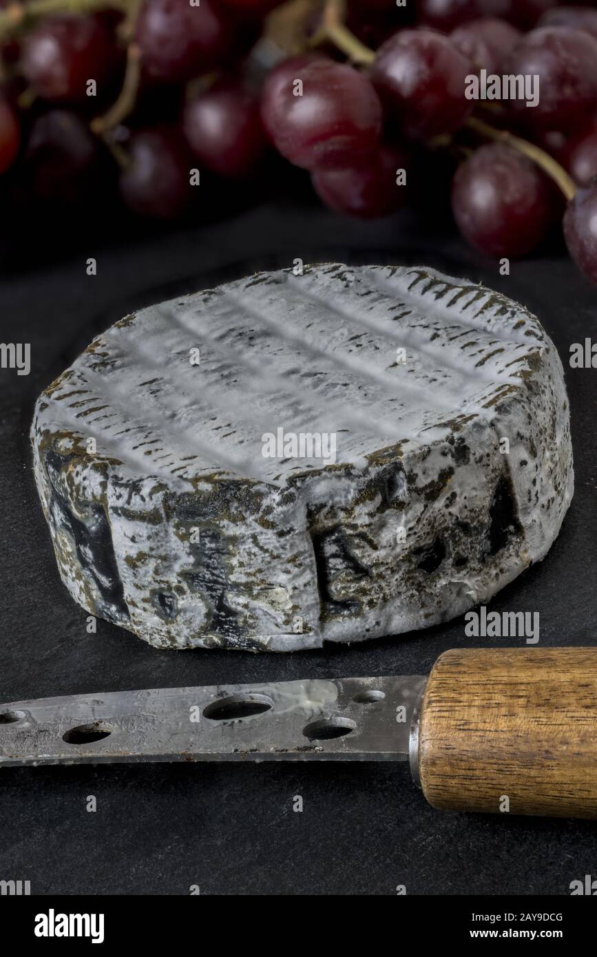 French soft cheese Stock Photo - Alamy