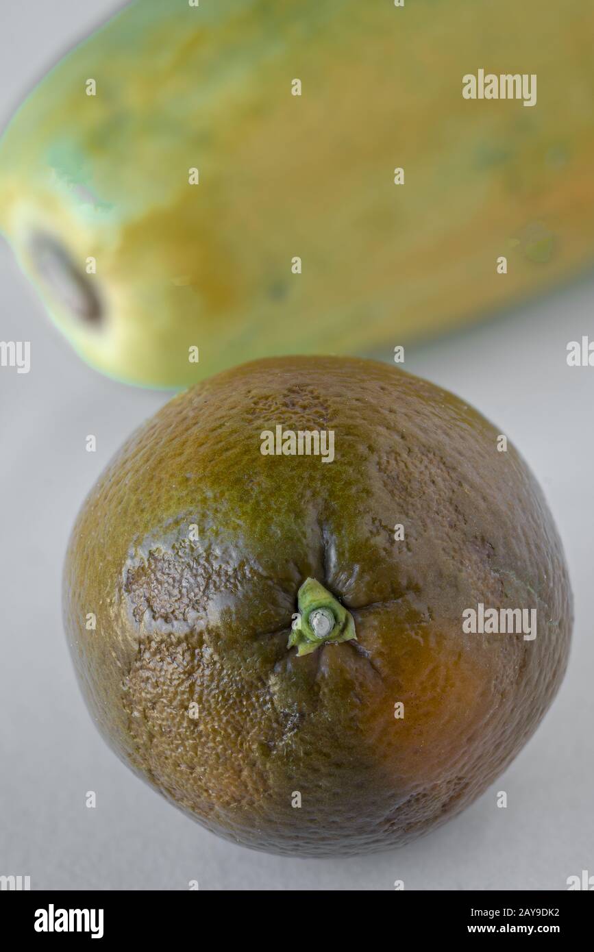 Brown-skinned orange fruit Stock Photo - Alamy