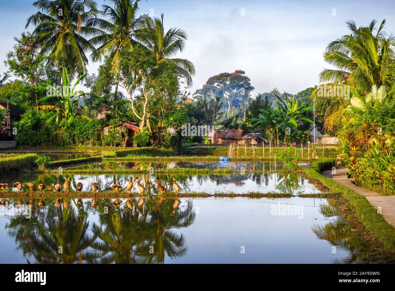 Sunset ubud bali hi-res stock photography and images - Alamy