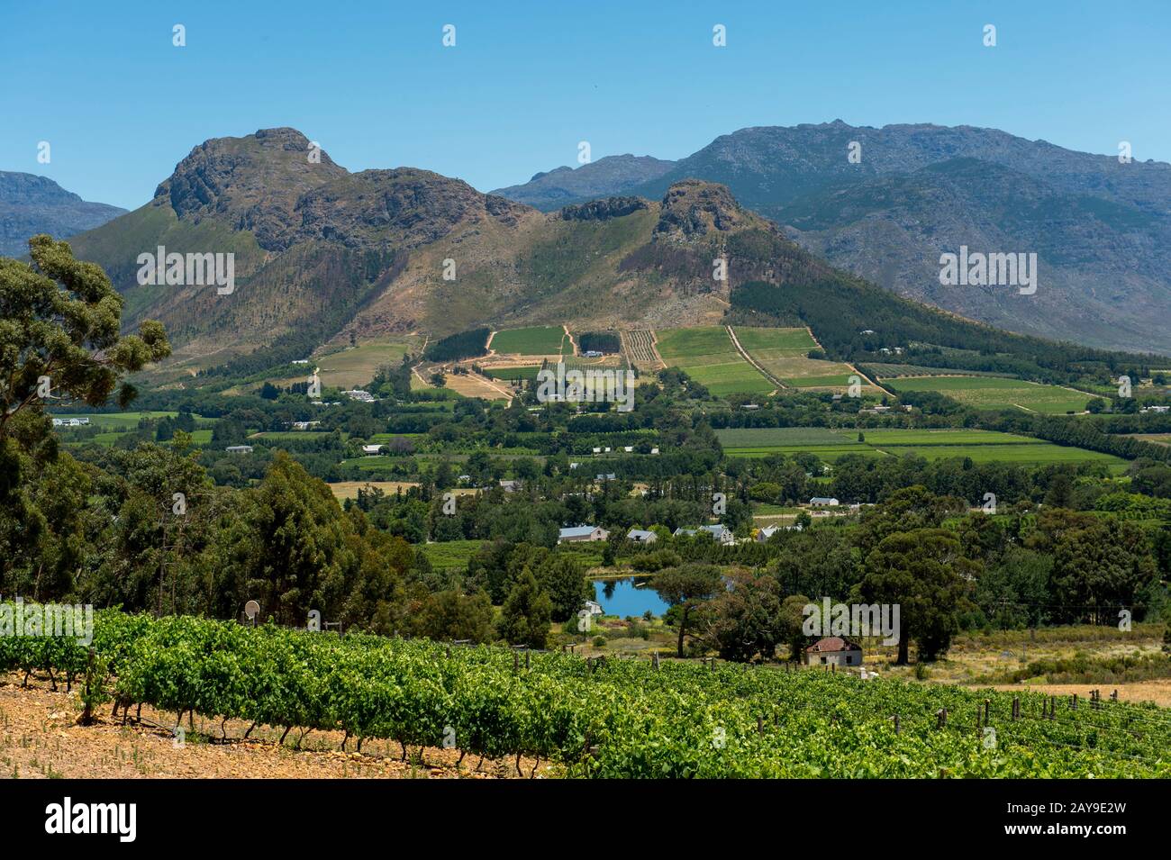 African vineyard hotel hi-res stock photography and images - Alamy