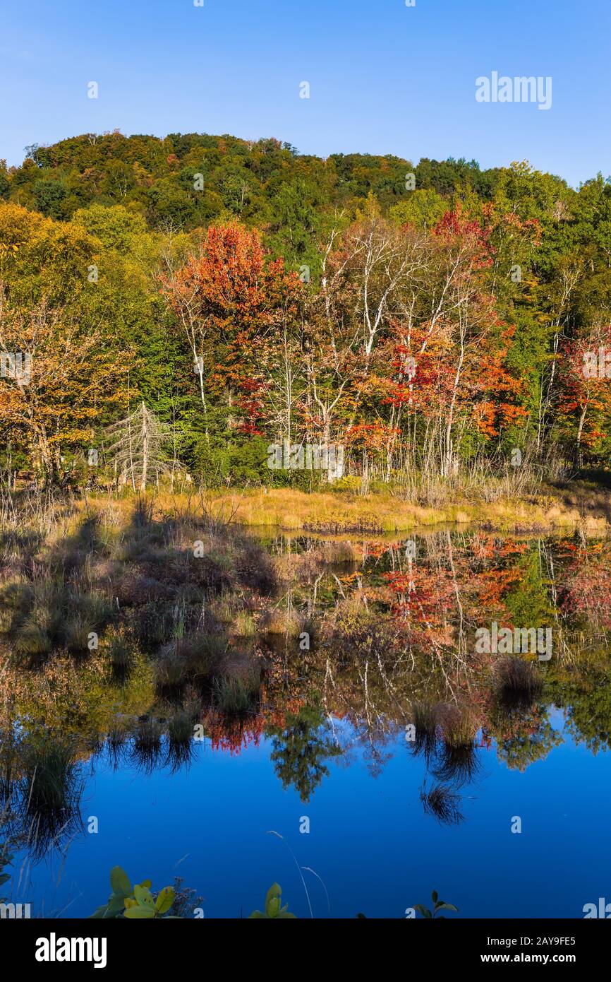 French forests hi-res stock photography and images - Alamy