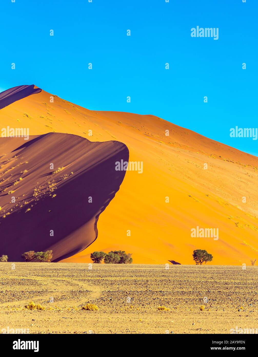 Light border hi-res stock photography and images - Alamy