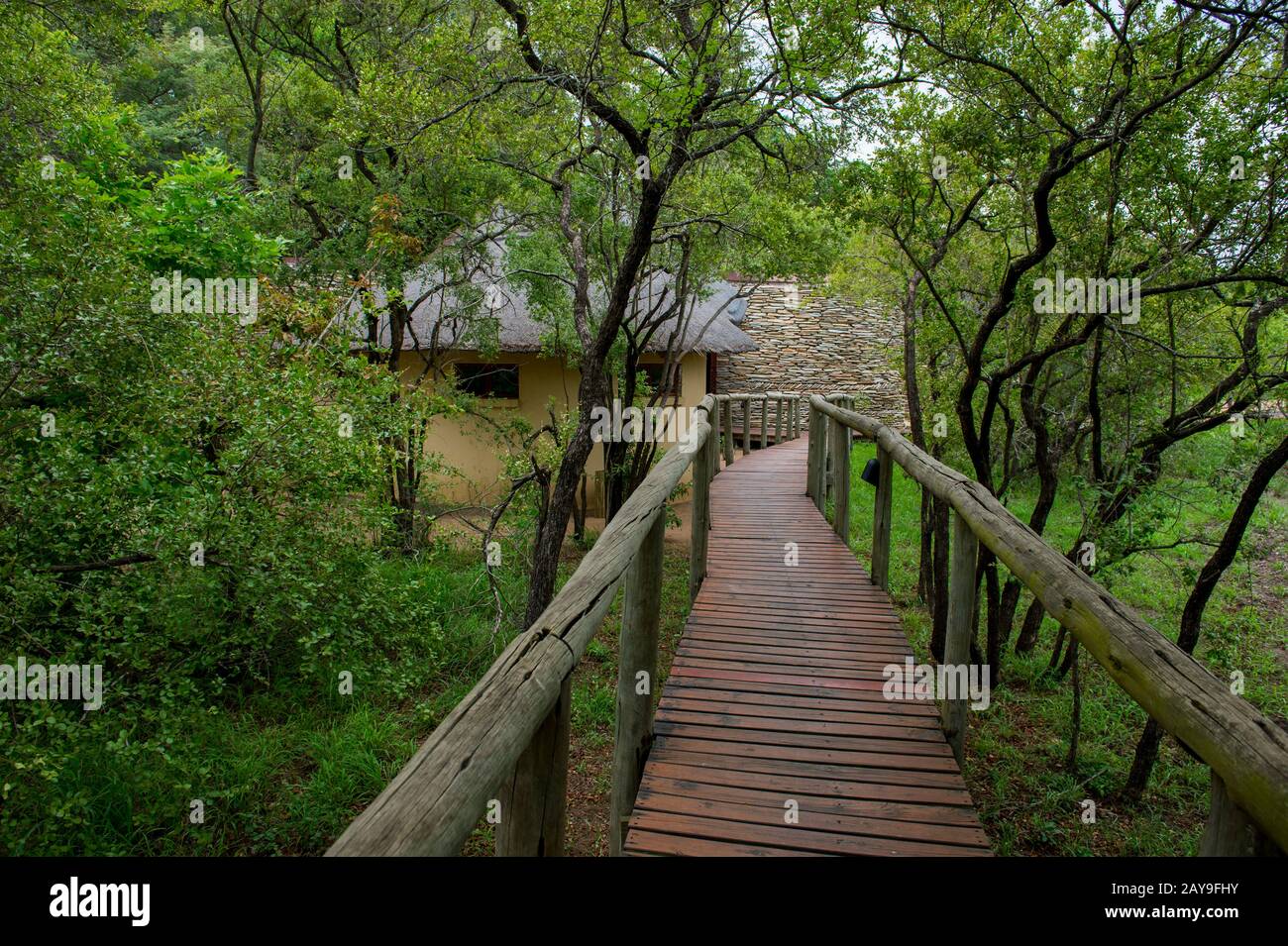 The Tintswalo Safari Lodge is located in the Manyeleti Reserve in the ...