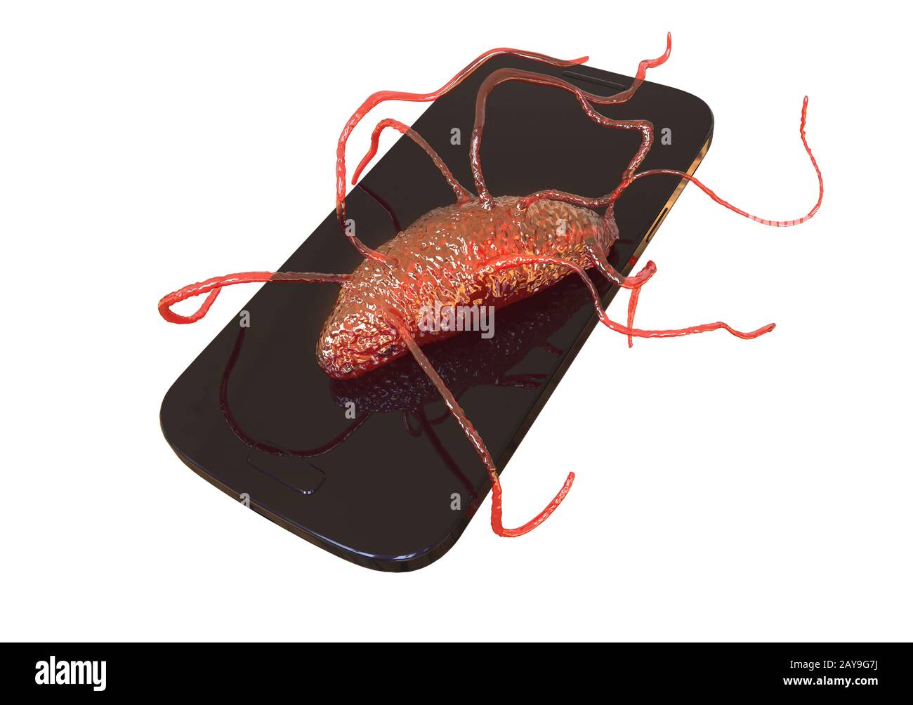 Bacteria cell phone hi-res stock photography and images - Alamy