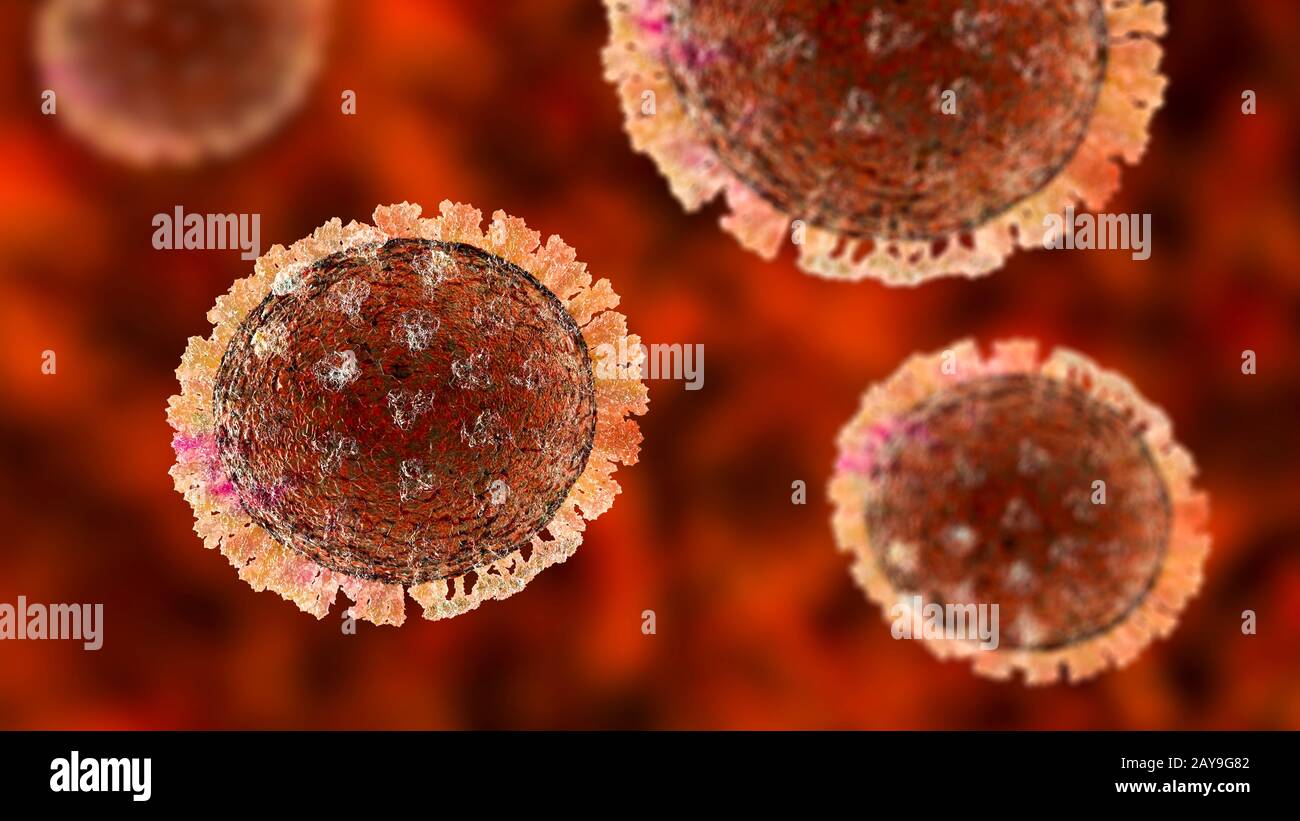 Enveloped viruses hi-res stock photography and images - Alamy