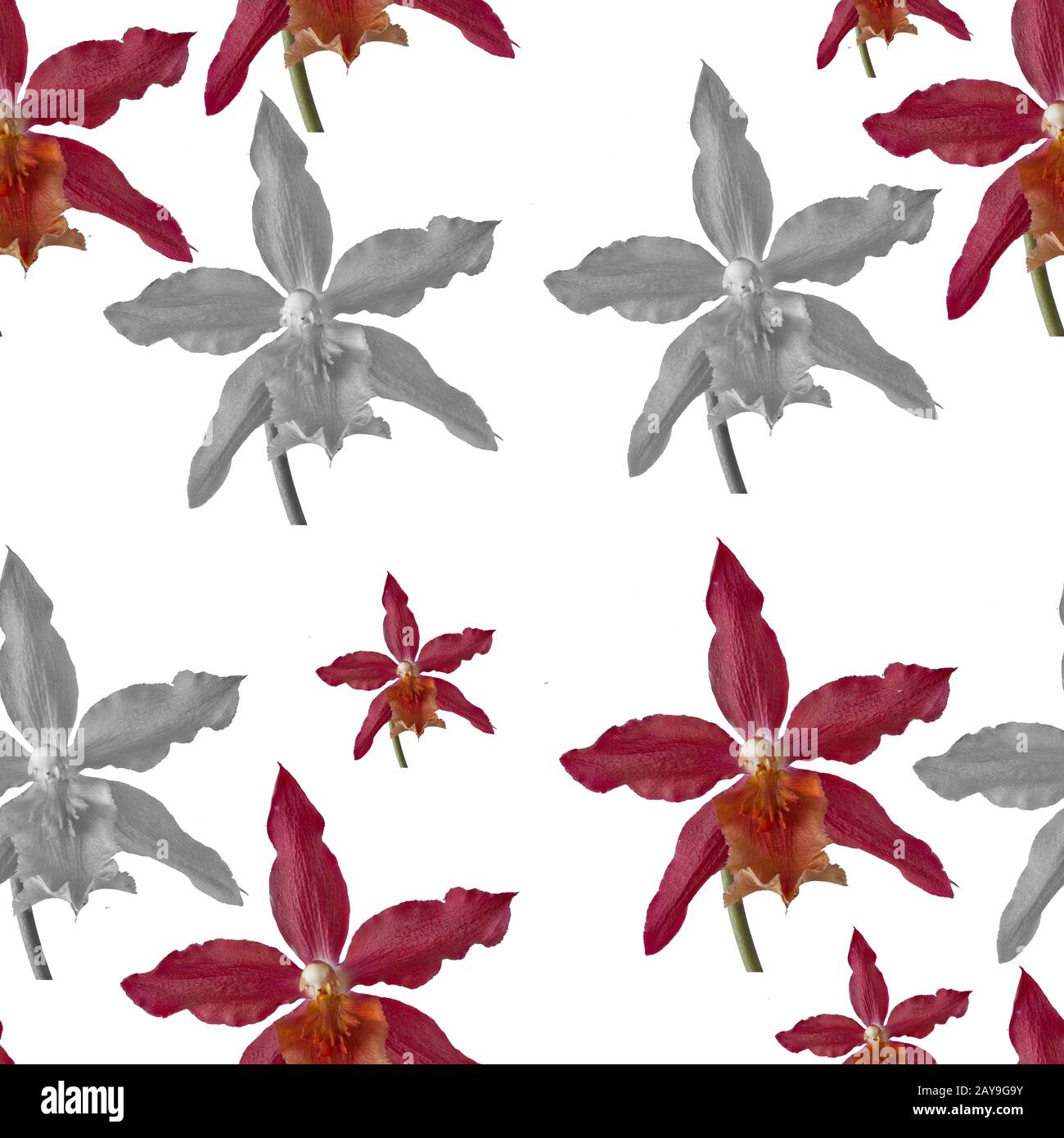 Orchids pattern hi-res stock photography and images - Alamy