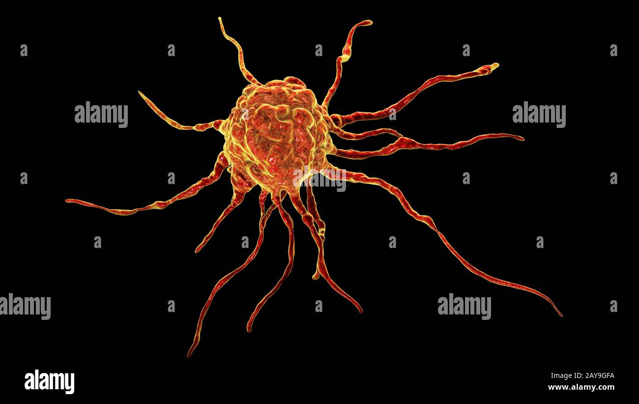 Cancer cell, illustration Stock Photo - Alamy