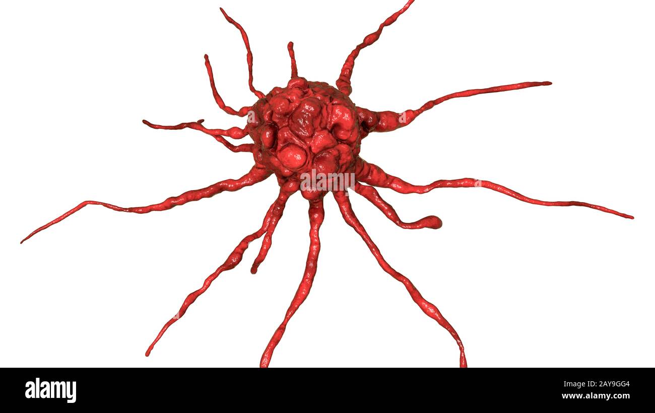 Malignant cell Cut Out Stock Images & Pictures - Alamy