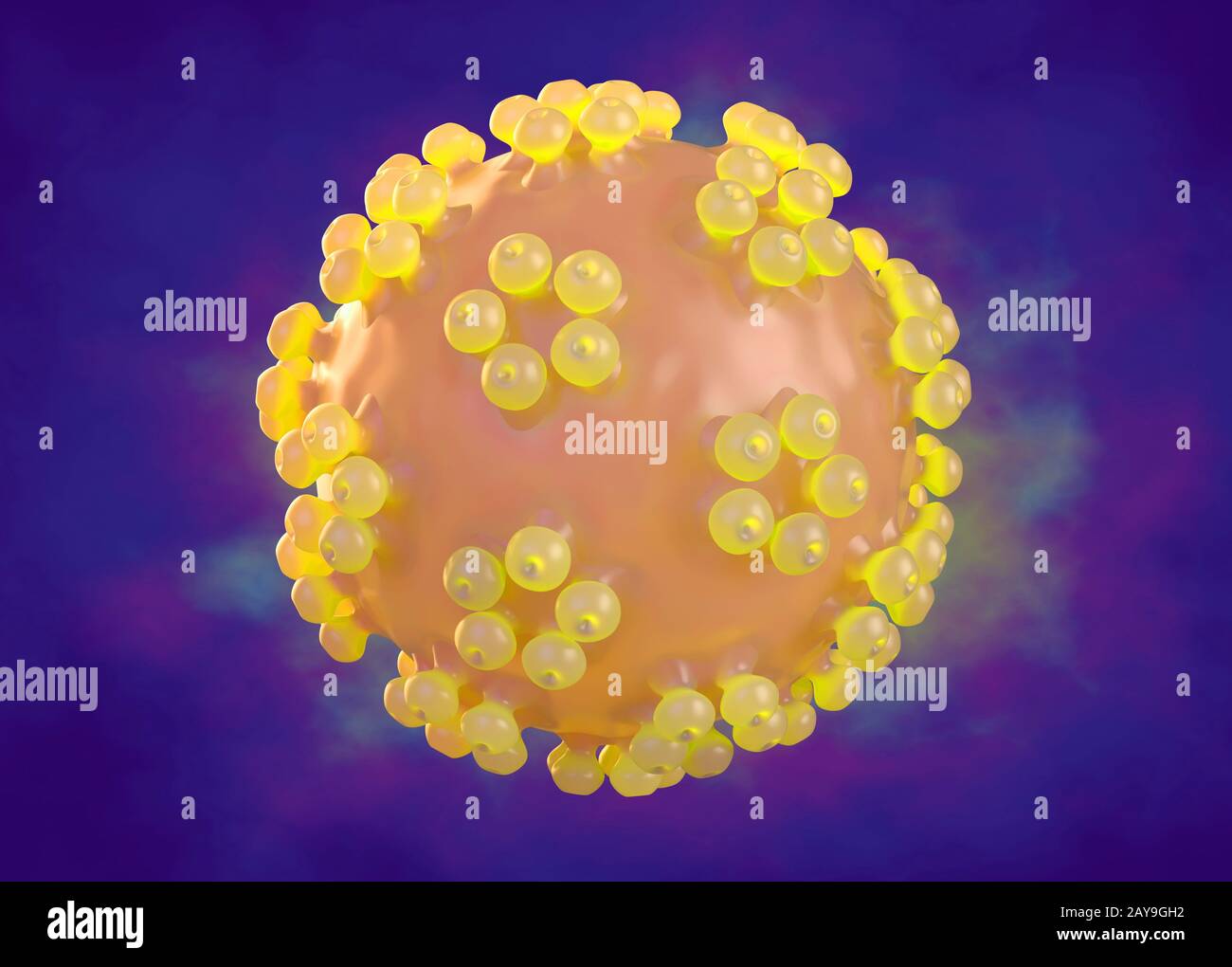 Human papillomavirus hi-res stock photography and images - Alamy