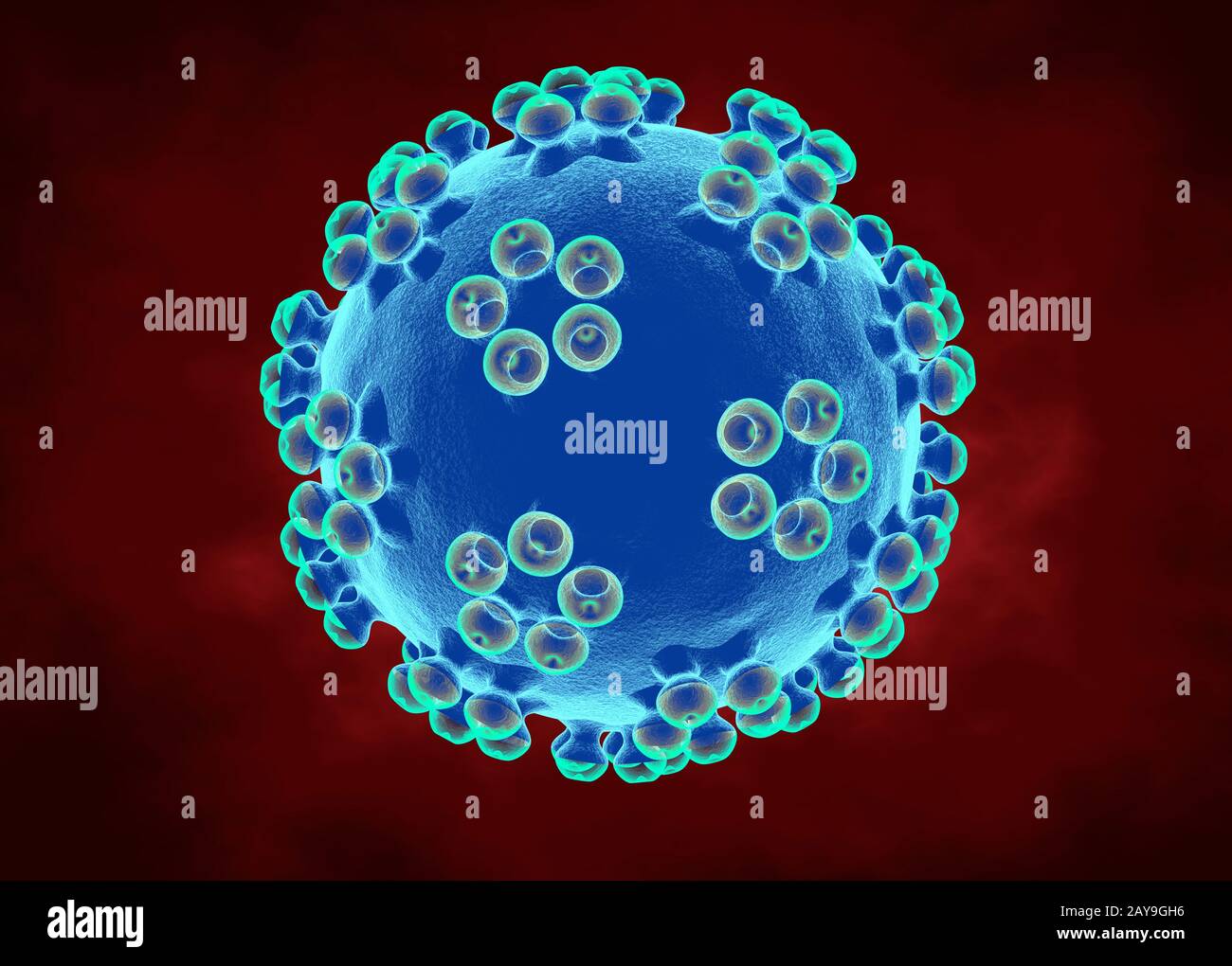 Human papillomavirus, illustration Stock Photo - Alamy