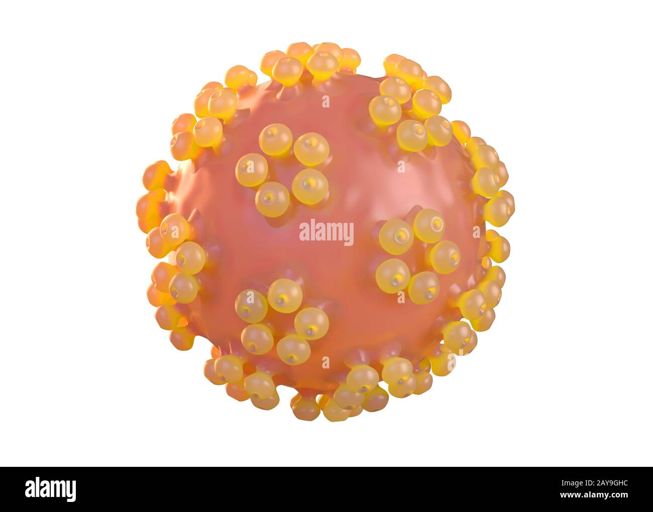 Human papillomavirus, illustration Stock Photo - Alamy
