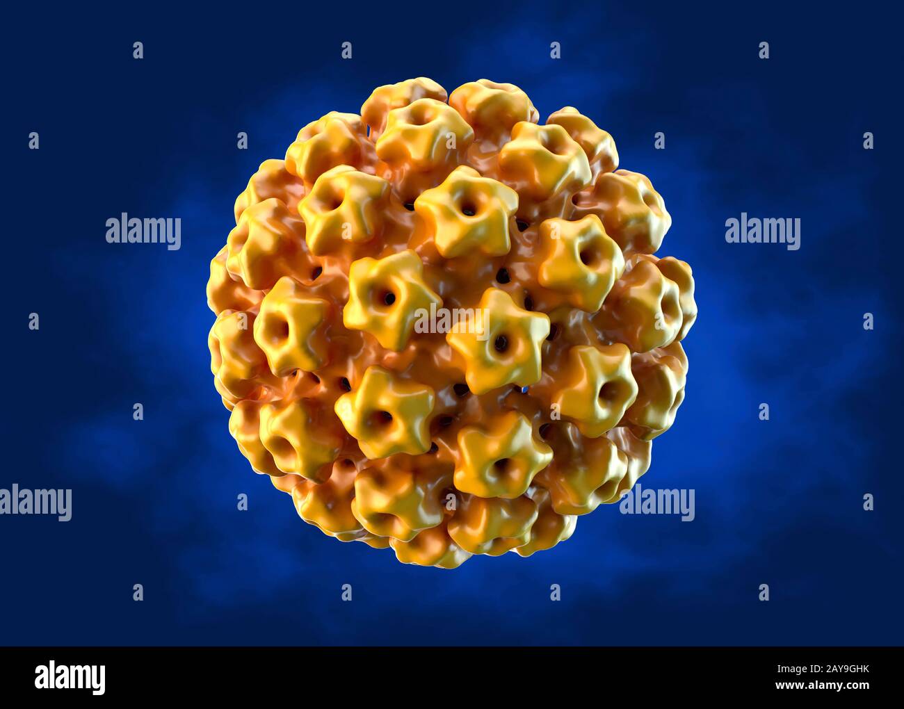 Human papillomavirus, illustration Stock Photo - Alamy