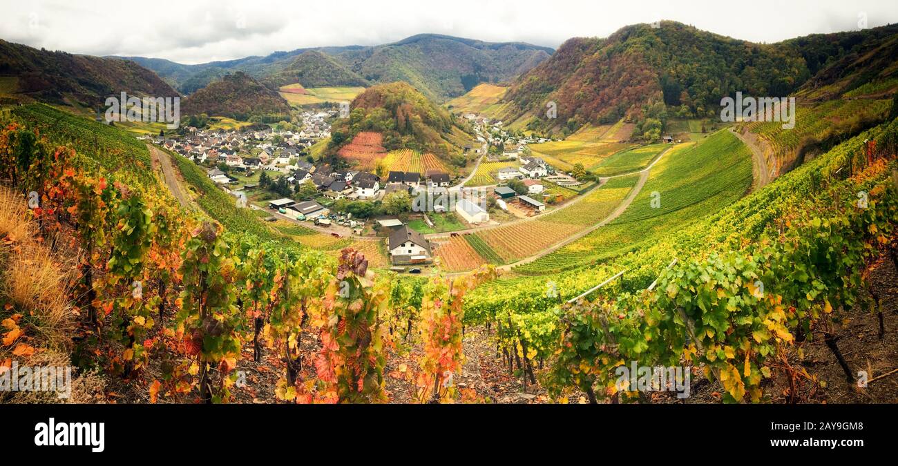 Blick auf Mayschoss vom Rotweinwanderweg im Herbst Stock Photo - Alamy