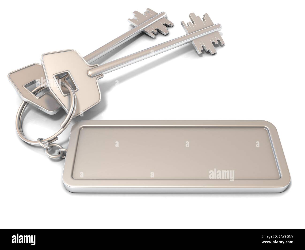 Two door keys and rectangular blank label on ring. 3D Stock Photo - Alamy