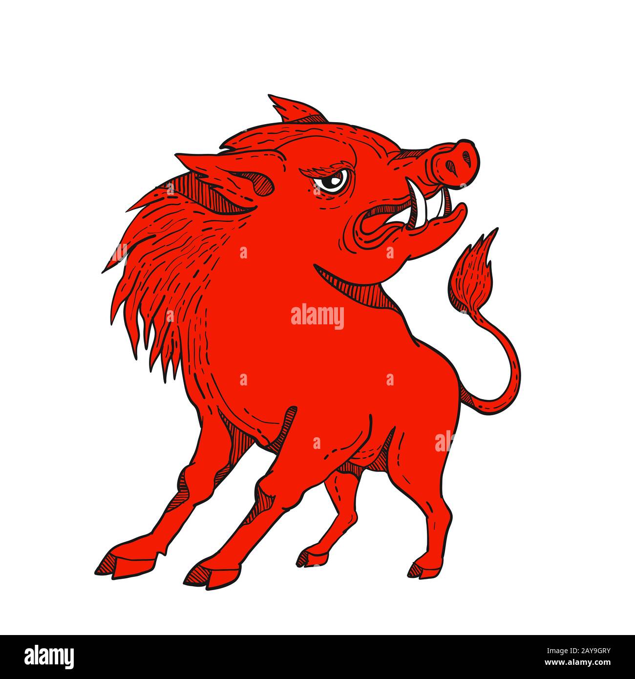 Red Razorback Doodle Art Stock Photo - Alamy