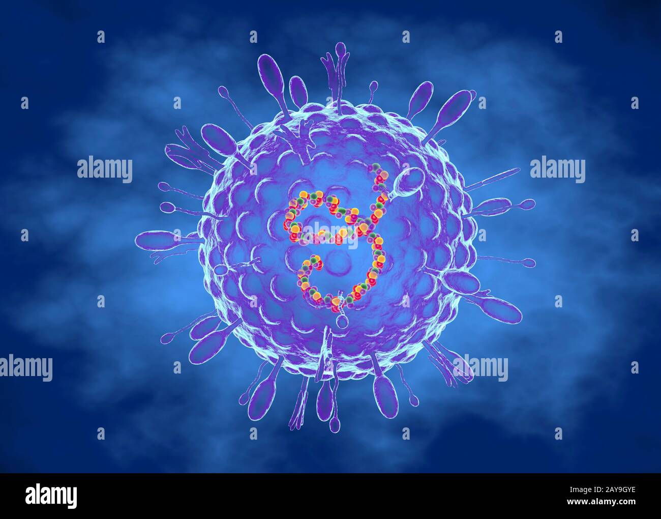 Human parainfluenza virus hpiv hi-res stock photography and images - Alamy