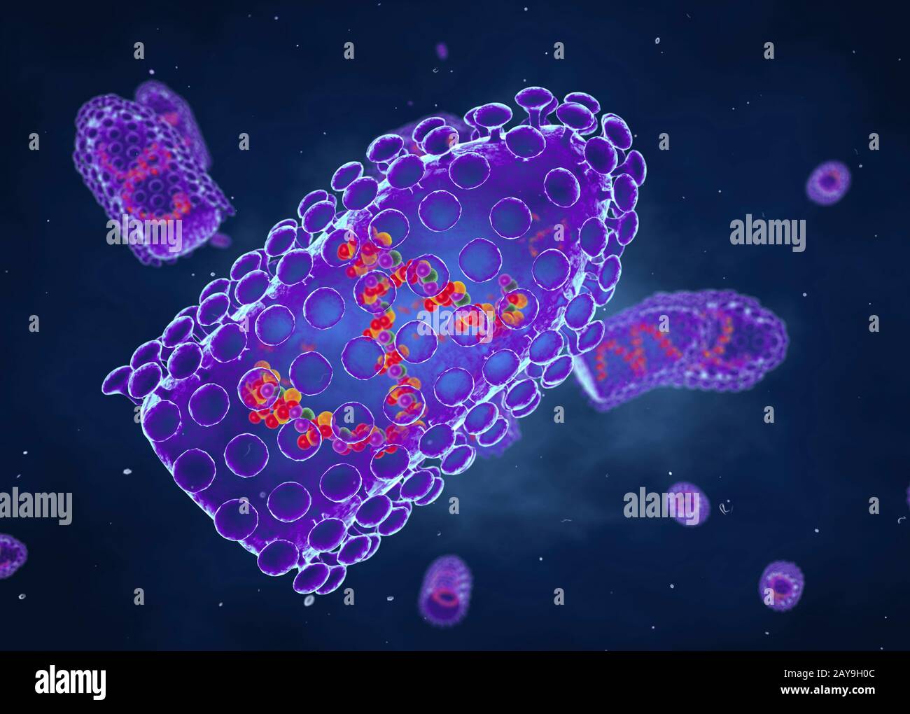Rabies viruses, illustration Stock Photo - Alamy