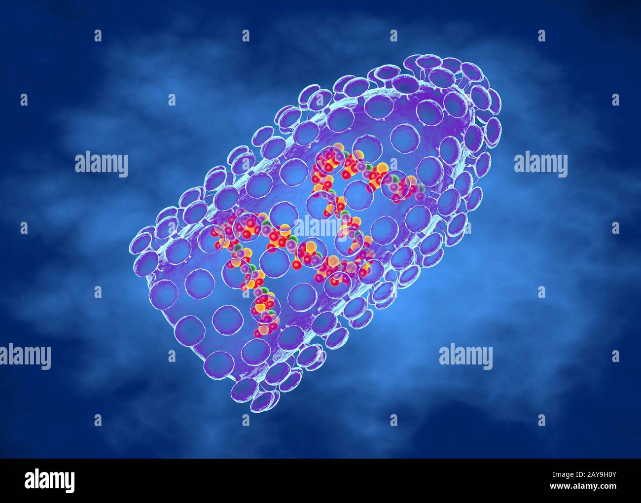 Rabies virus hi-res stock photography and images - Alamy