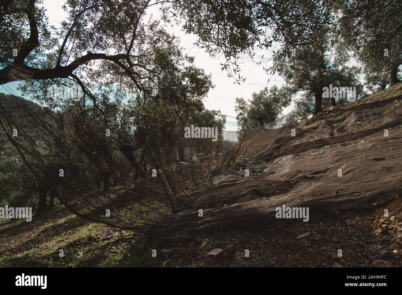 Big cloth hi-res stock photography and images - Alamy