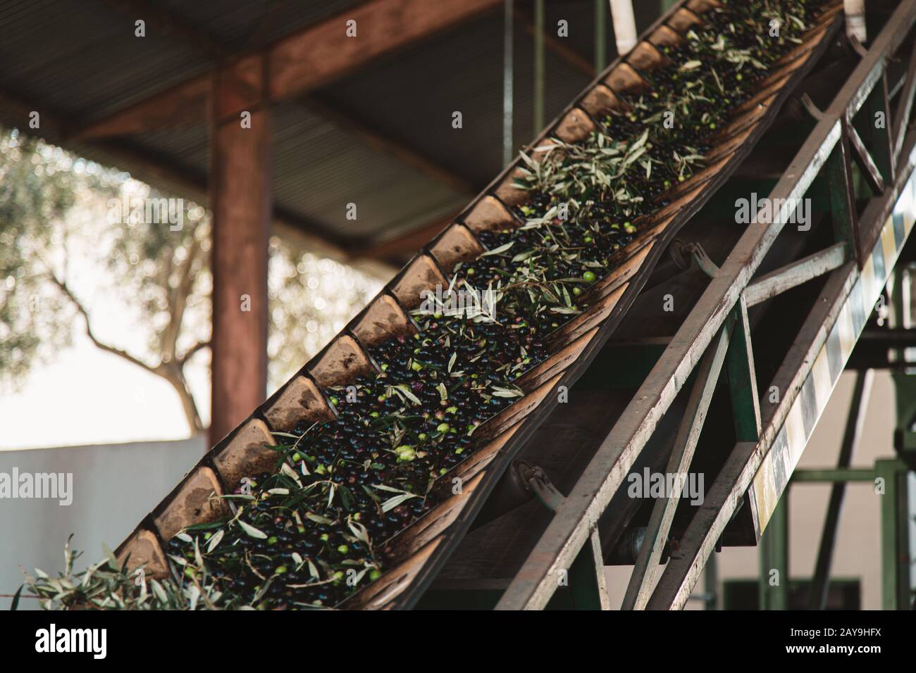 Conveyor belt factory from above hi-res stock photography and images ...