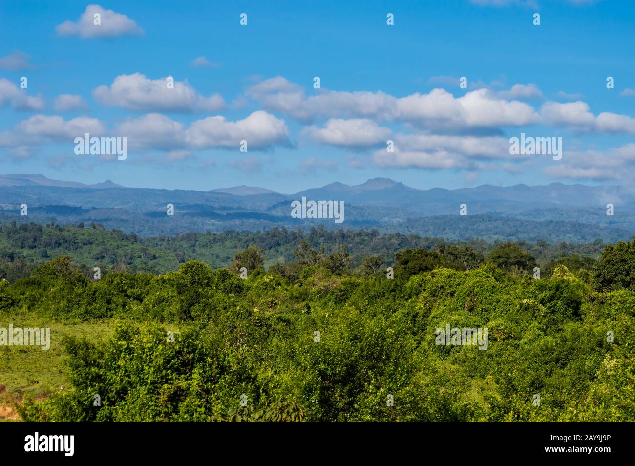 Aberdare park hi-res stock photography and images - Alamy