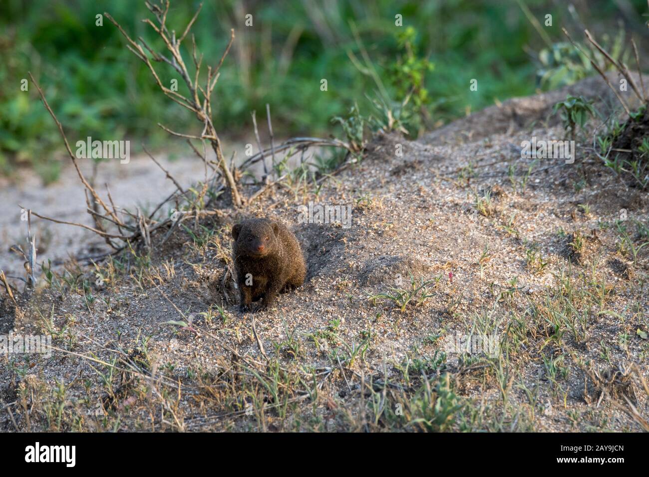 No peeking hi-res stock photography and images - Alamy