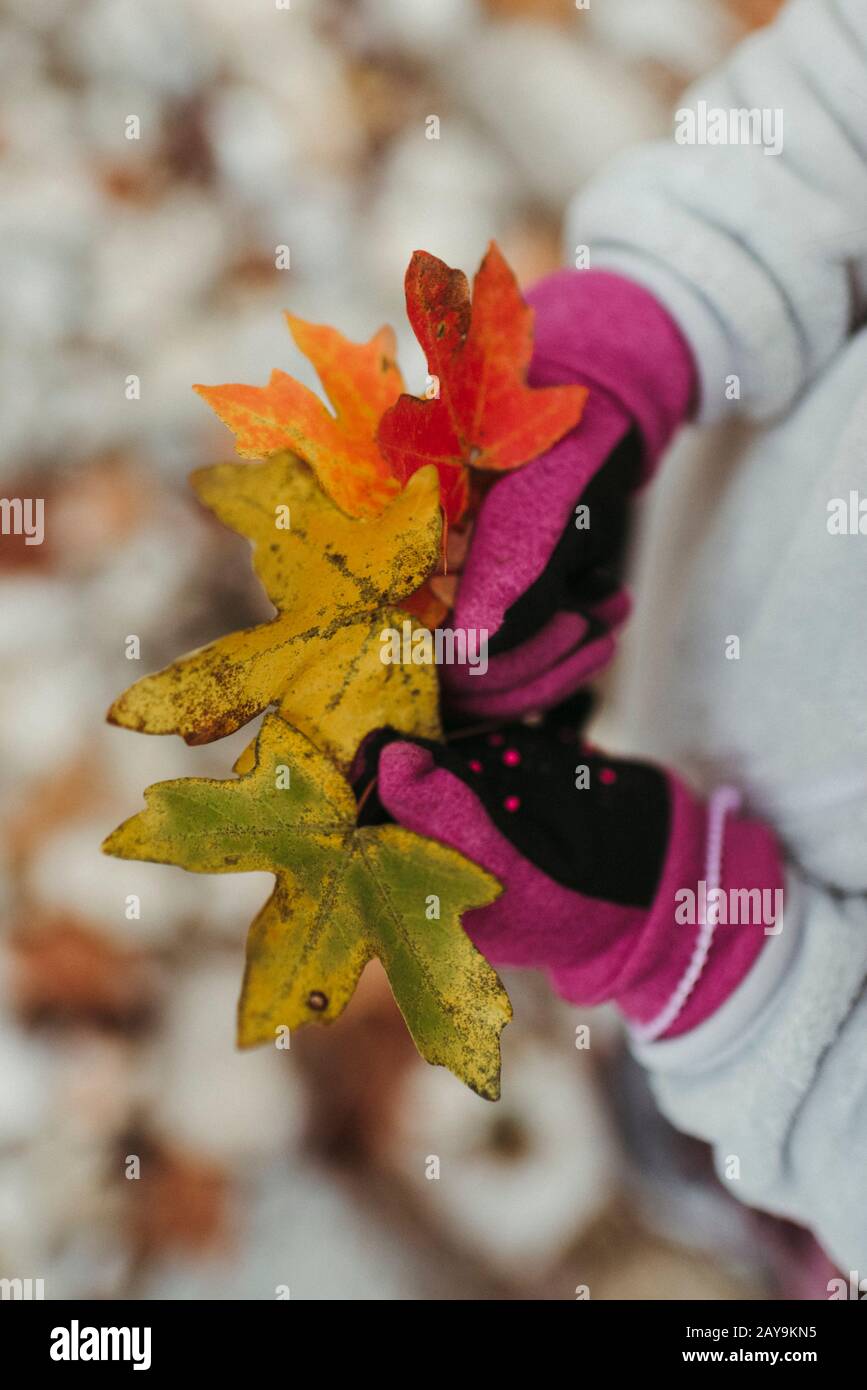 Child hands hi-res stock photography and images - Alamy