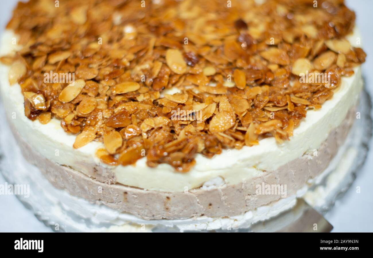 Cream cake photographed in a macro close-up Stock Photo - Alamy