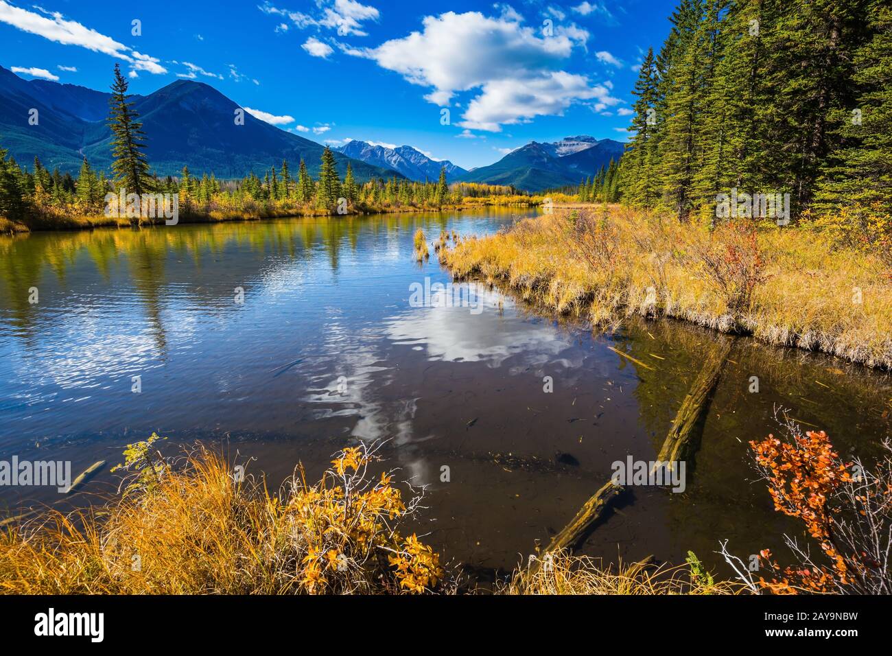Solar patches in the lake Stock Photo - Alamy