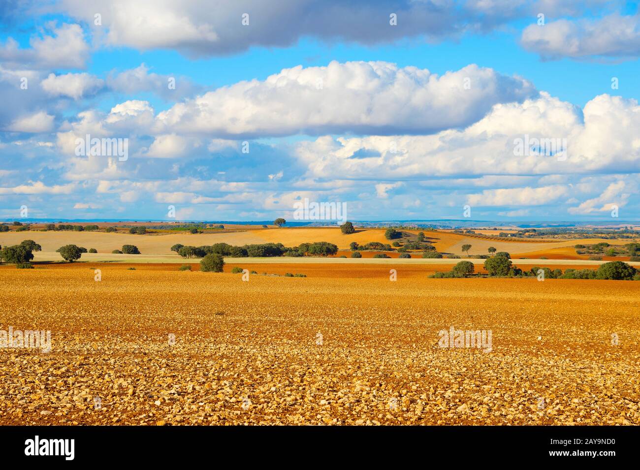 Landscape field hill Spain Stock Photo - Alamy
