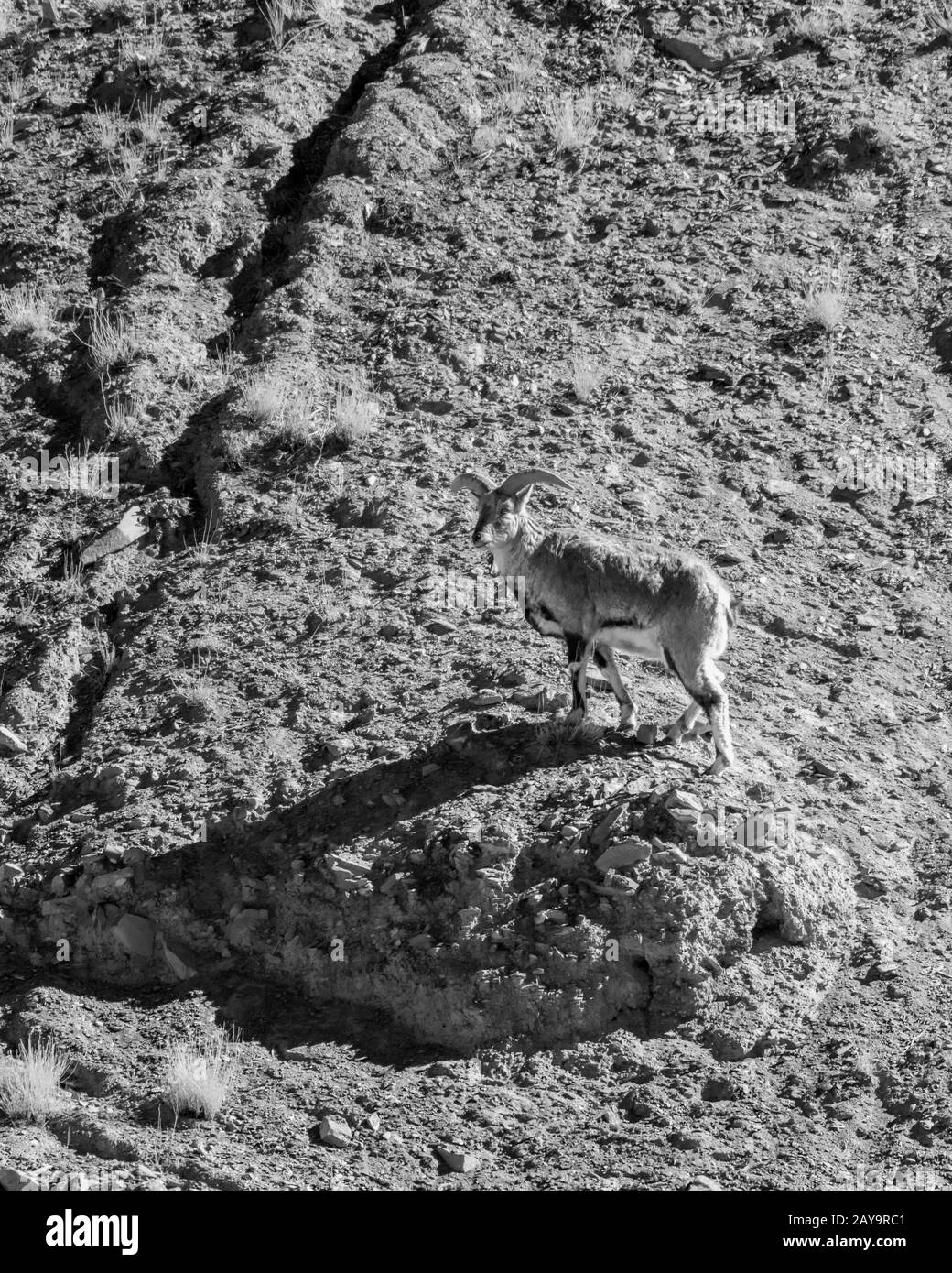 National highway of india Black and White Stock Photos & Images - Alamy