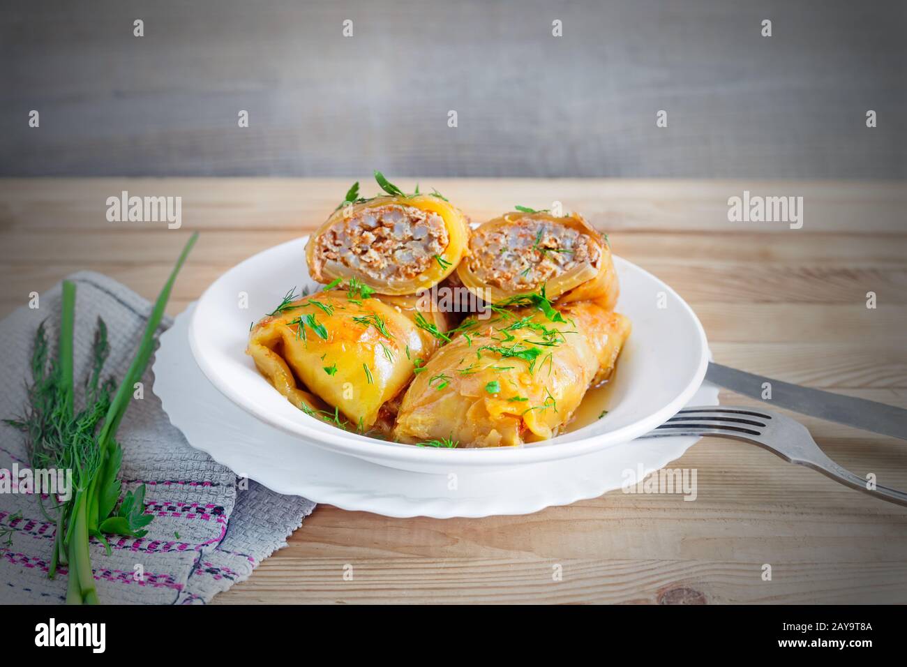 Stuffed cabbage with meat and rice-traditional Russian food Stock Photo ...