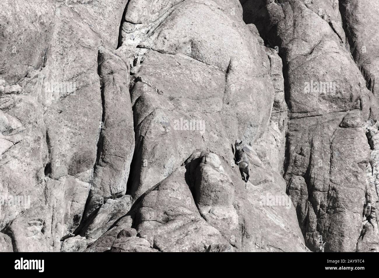 Granite cliff face hi-res stock photography and images - Alamy