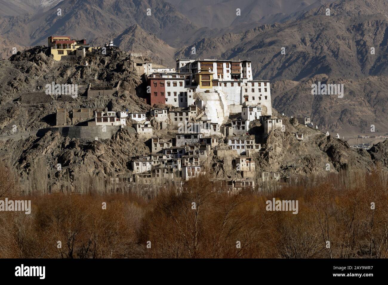 Spituk Gompa from the south side of the Indus River, Leh, Ladakh, India ...