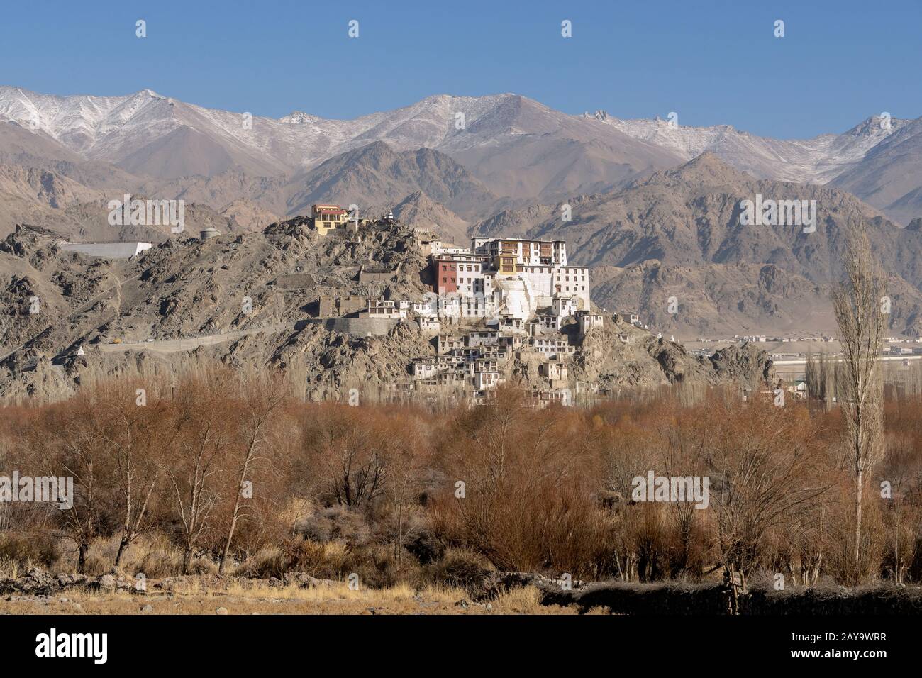 Spituk Gompa above the Indus River, Leh, Ladakh, India Stock Photo - Alamy
