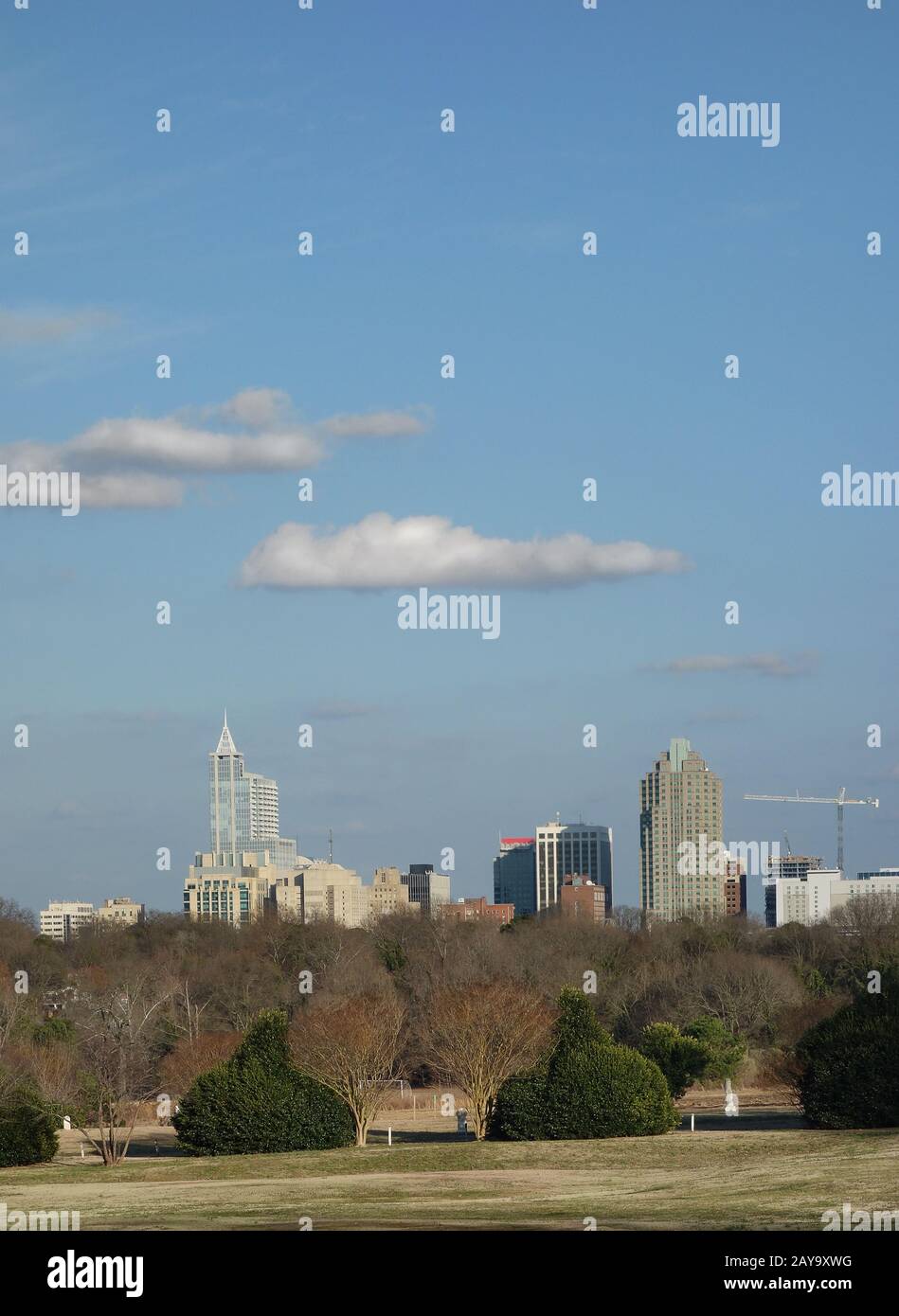 View of downtown Raleigh NC skyline from Dorothea Dix park Stock Photo ...