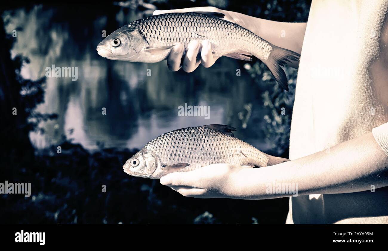Girl holding a fish caught in the river Stock Photo - Alamy