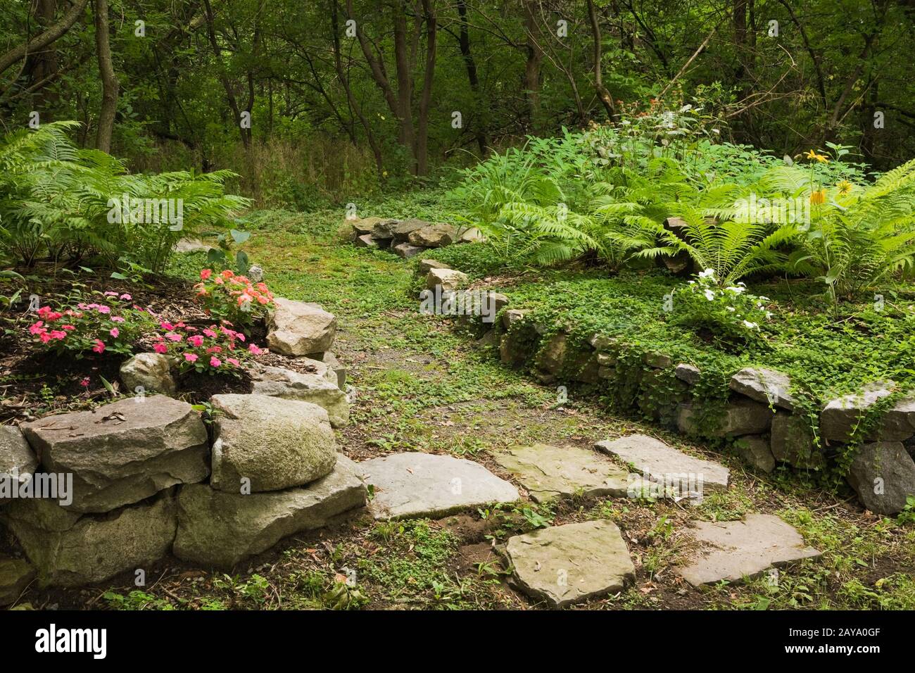 Path through raised stone borders planted with red and white Impatiens ...