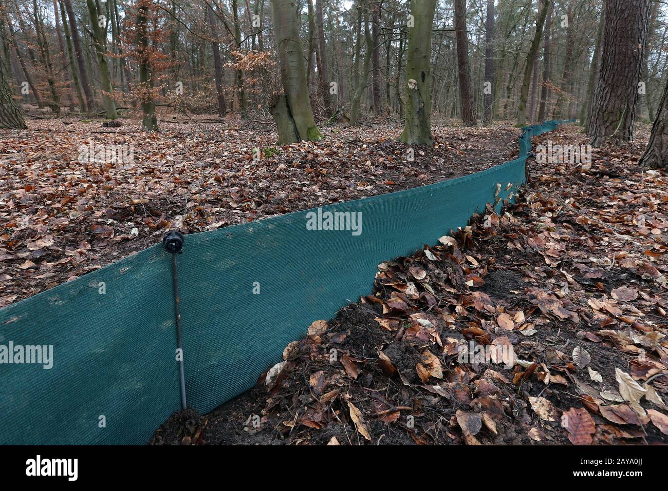 Toad fence hi-res stock photography and images - Alamy
