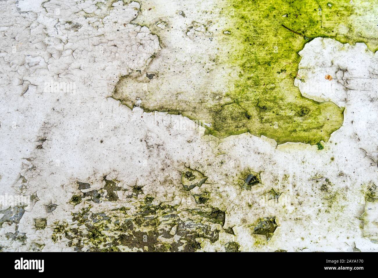 Green moss and rust on metal surface with patterns and cracks. High ...