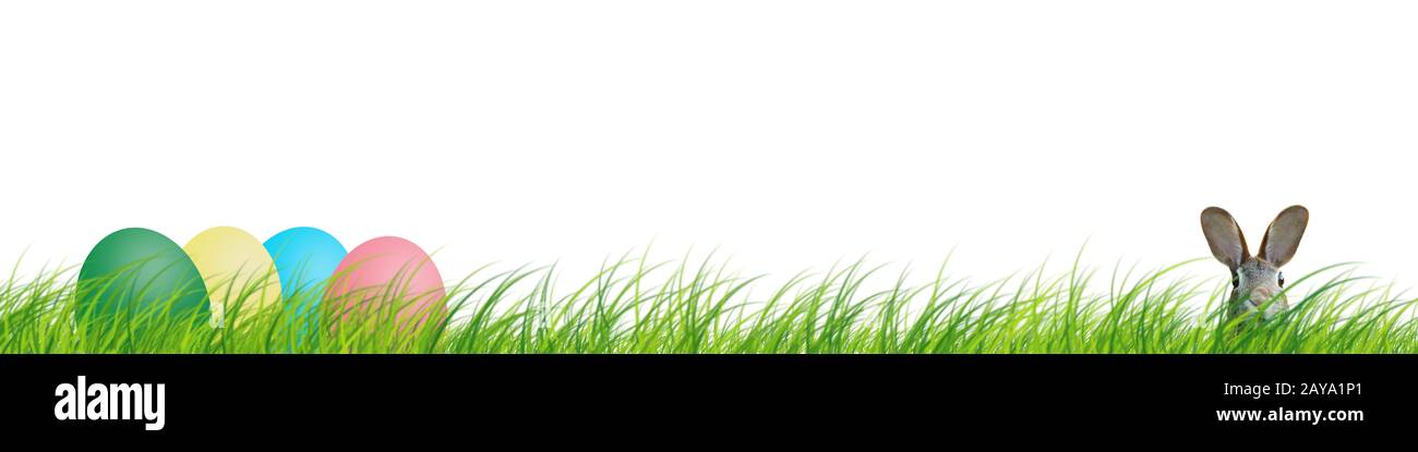 Hidden easter rabbit in a green meadow with colorful easter eggs ...