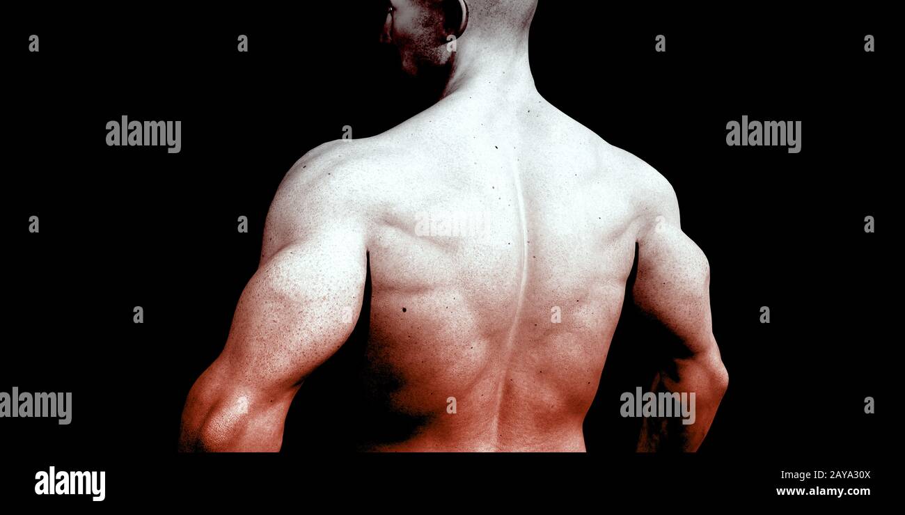 Muscular Physique of a Man Stock Photo - Alamy