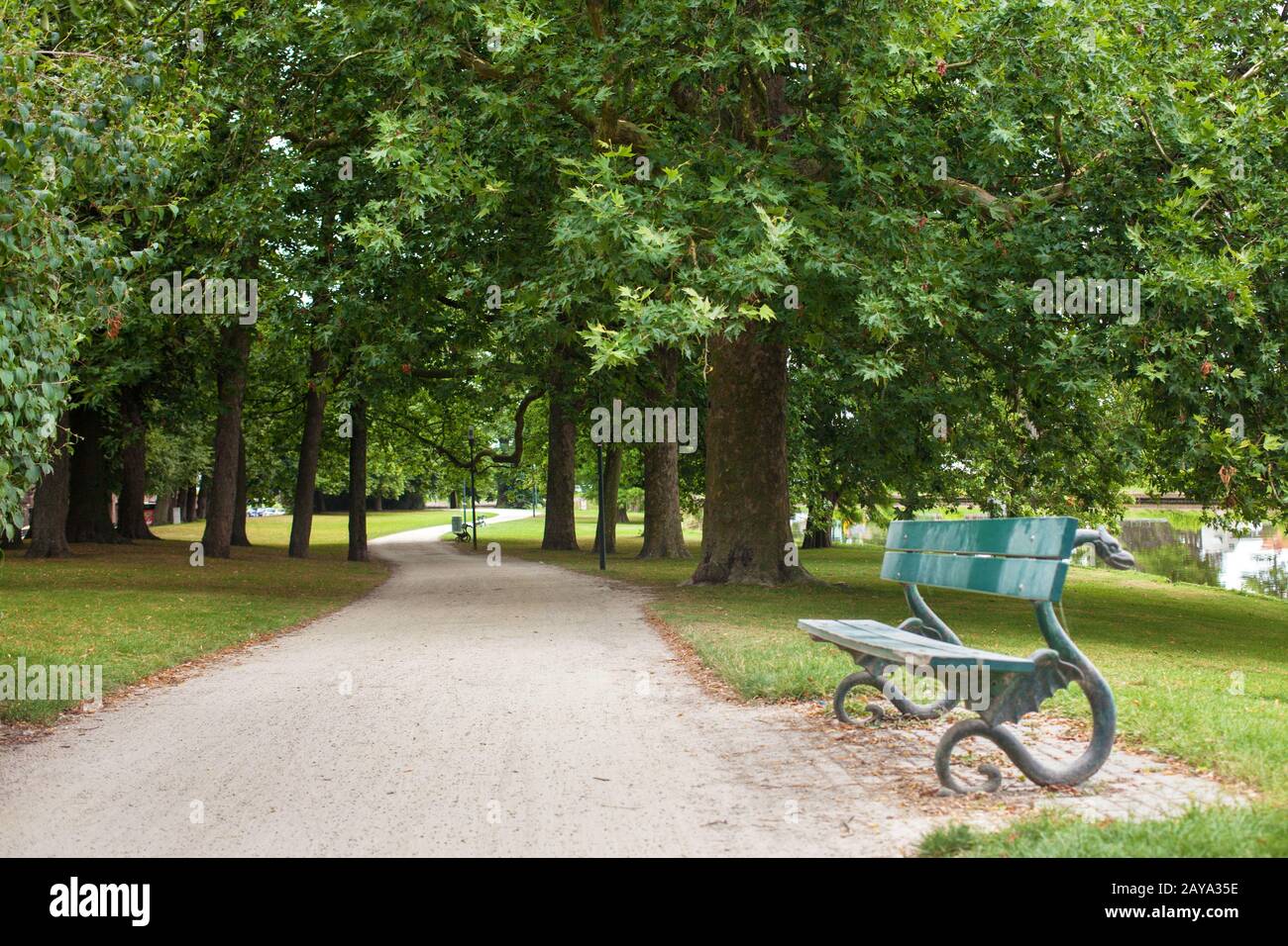 Park Bench Under Oak Trees High Resolution Stock Photography and Images ...