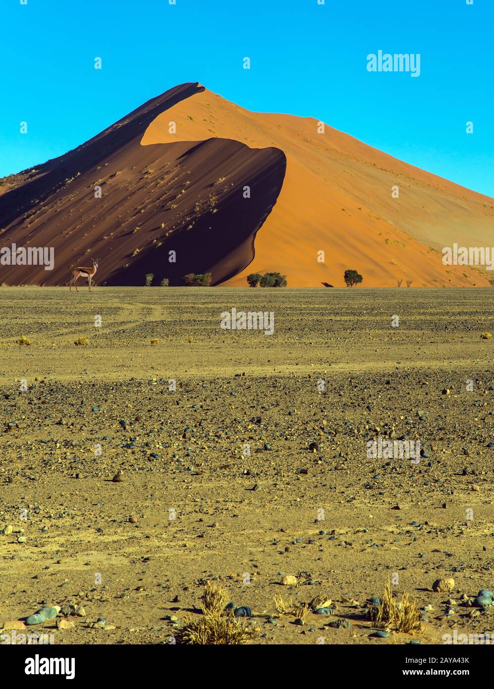 The Namib desert Stock Photo - Alamy