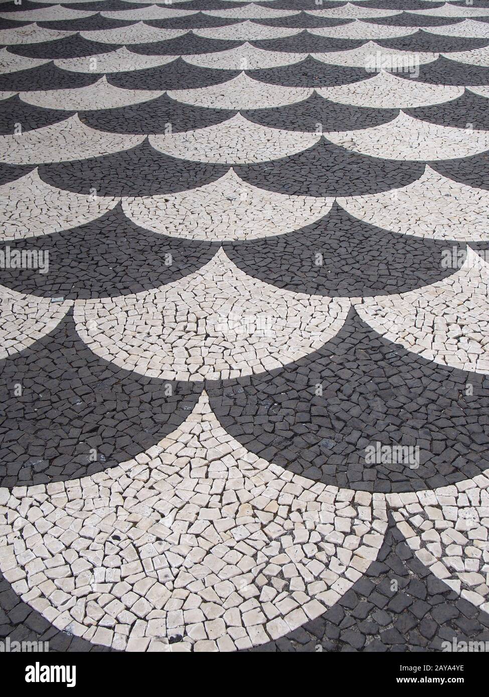 Fish scale pattern hi-res stock photography and images - Alamy