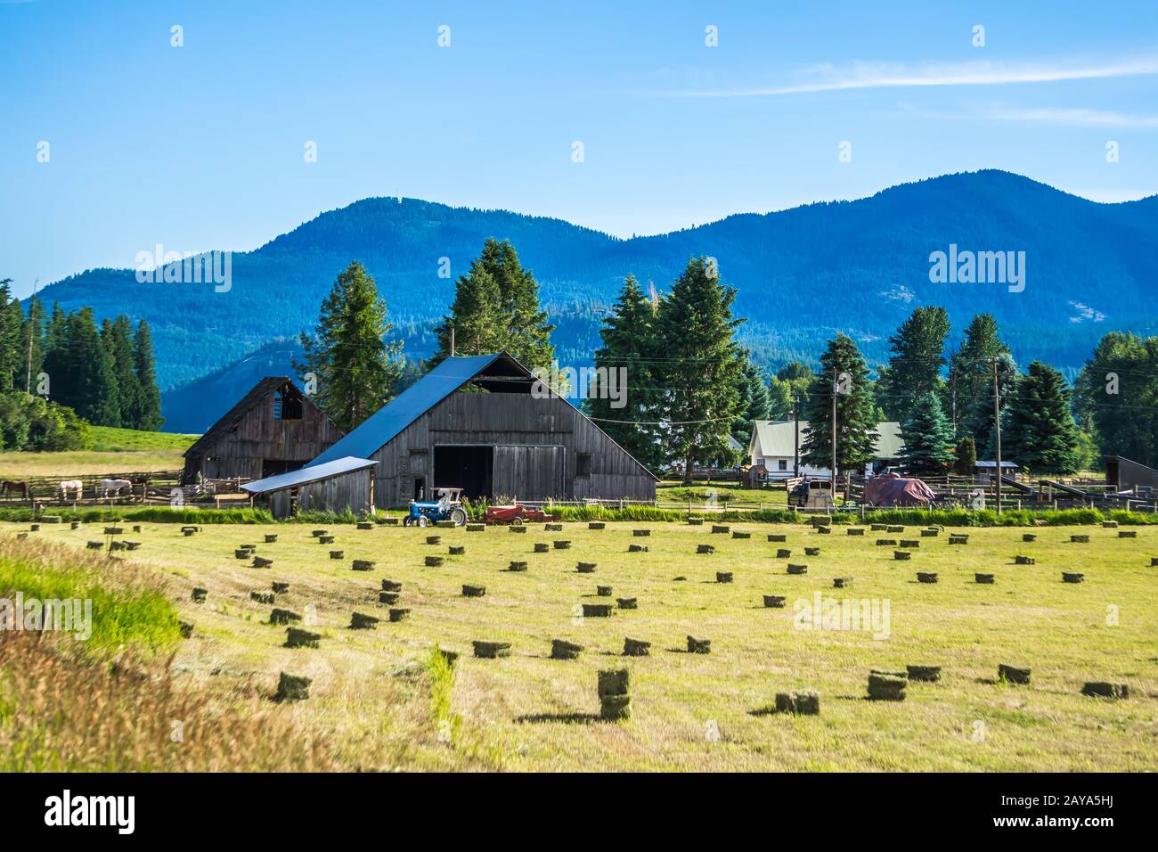 Spokane reservation hi-res stock photography and images - Alamy