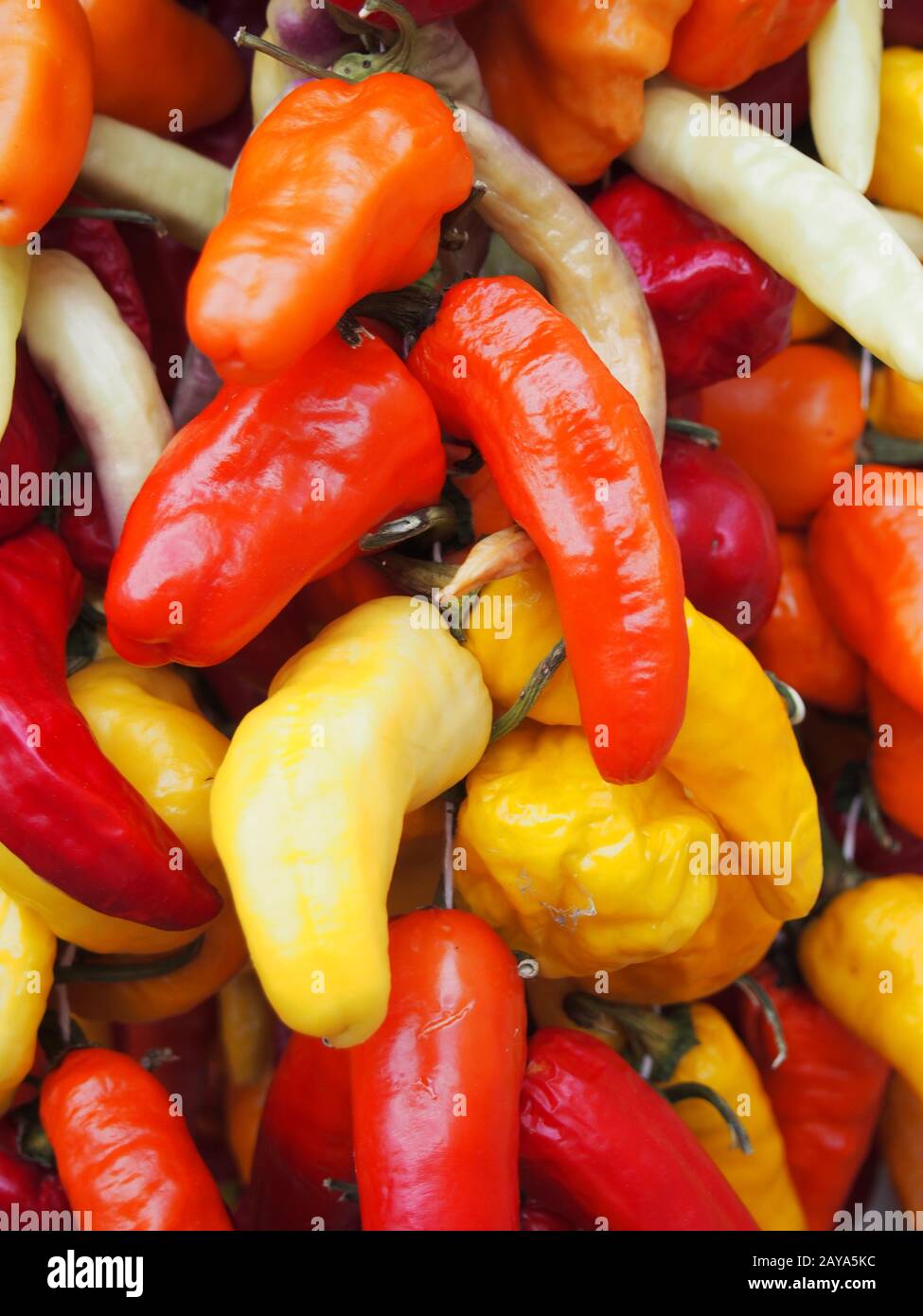 Variety Of Chillies High Resolution Stock Photography and Images - Alamy