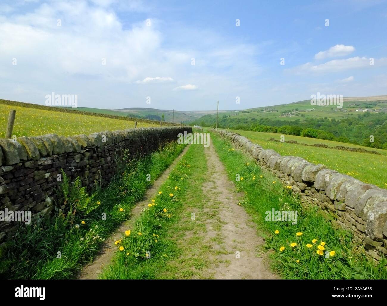 Meadow stone wall wildflowers hi-res stock photography and images - Alamy