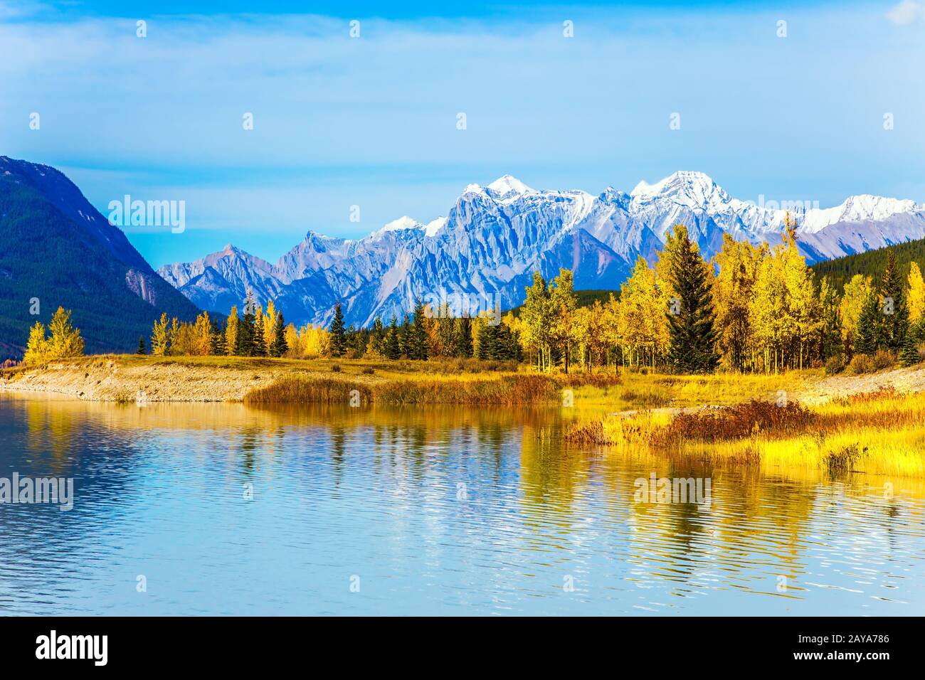 September sunny hi-res stock photography and images - Alamy