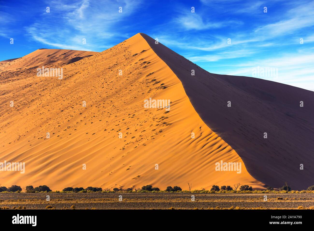 Border of light and shade Stock Photo - Alamy